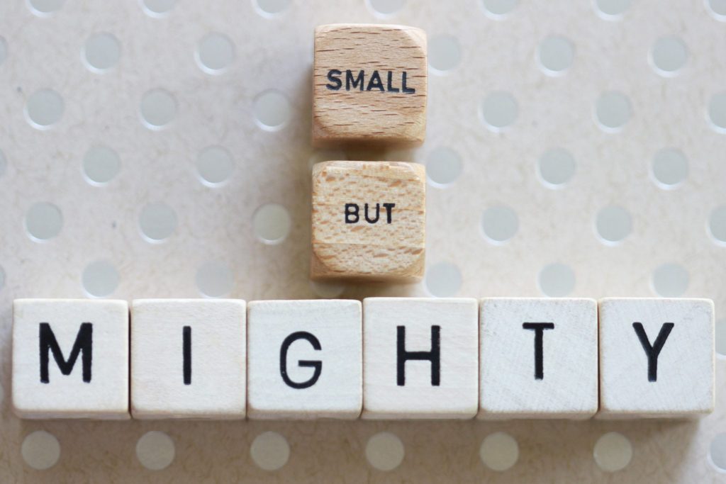 What Small but Mighty Training Teams Can Do - Mimeo.com